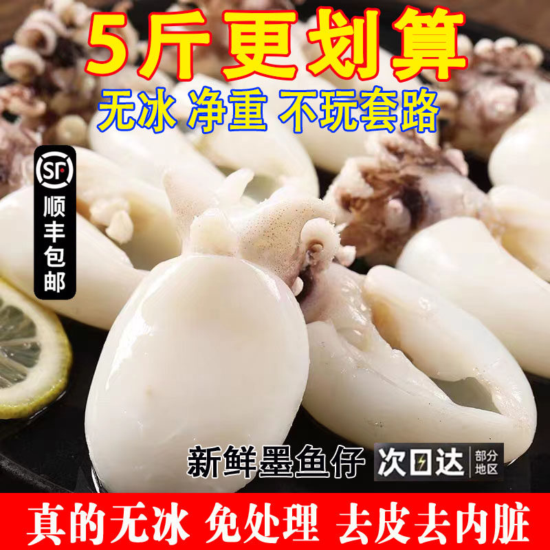 墨鱼仔新鲜冷冻小乌贼无包冰小鱿鱼章鱼仔免处理捞汁小海鲜商用包
