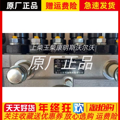 上柴潍柴道依茨龙泵喷油泵龙口龙泵 BH6PA110R 原装