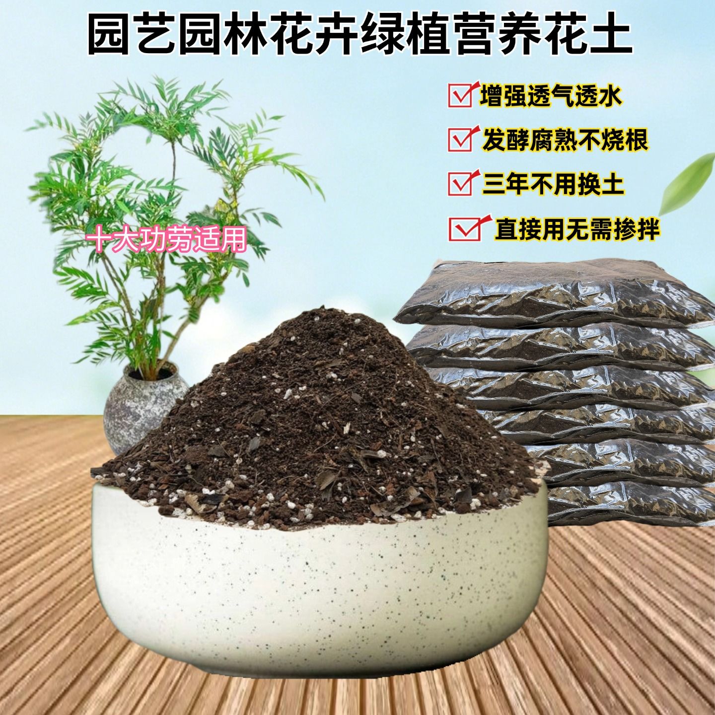 十大功劳老桩营养花土室内狭叶黄天竹盆栽植物专用椰糠发酵种植土