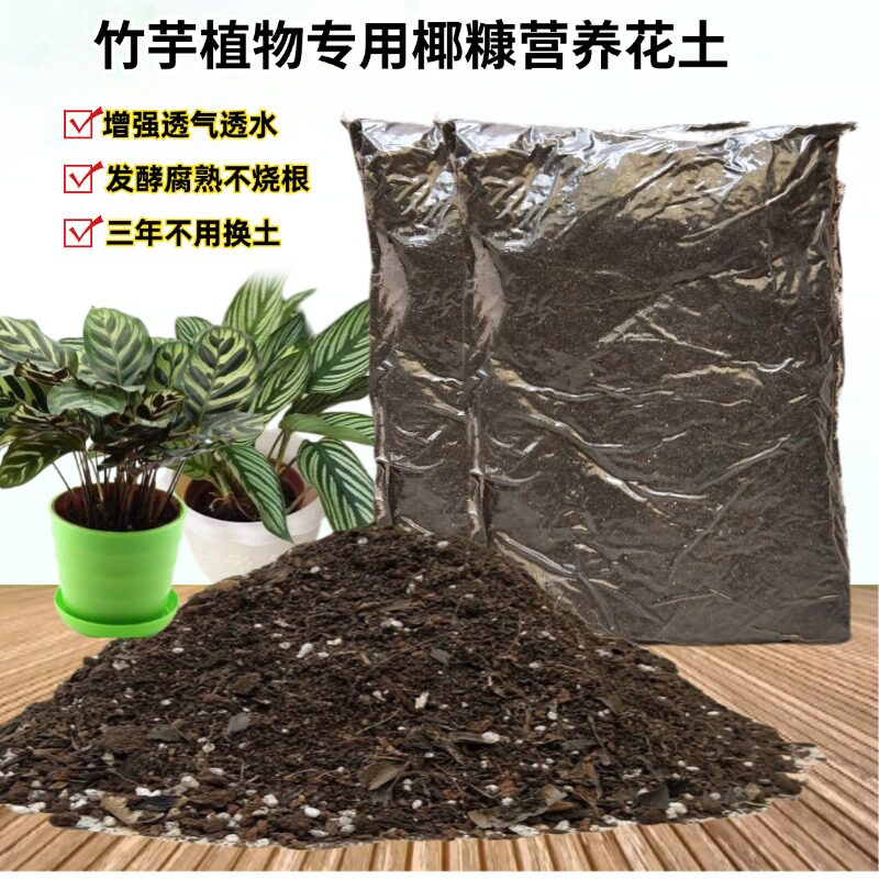 紫背双线彩虹天鹅绒猫眼苹果竹芋专用营养花土盆栽植物通用椰砖土