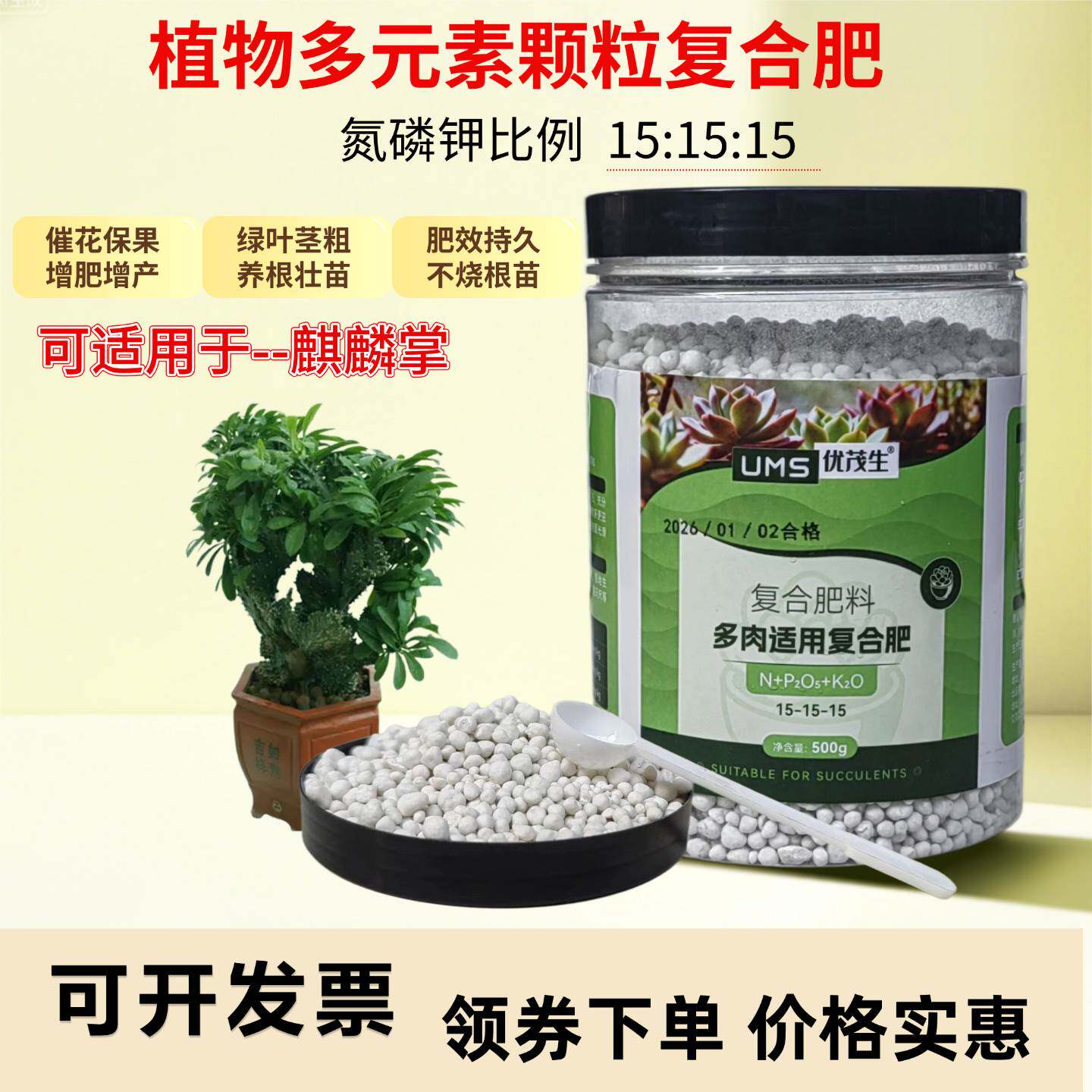 麒麟掌玉麒麟彩麒麟复合肥室内多肉盆栽植物通用三元颗粒专用肥料