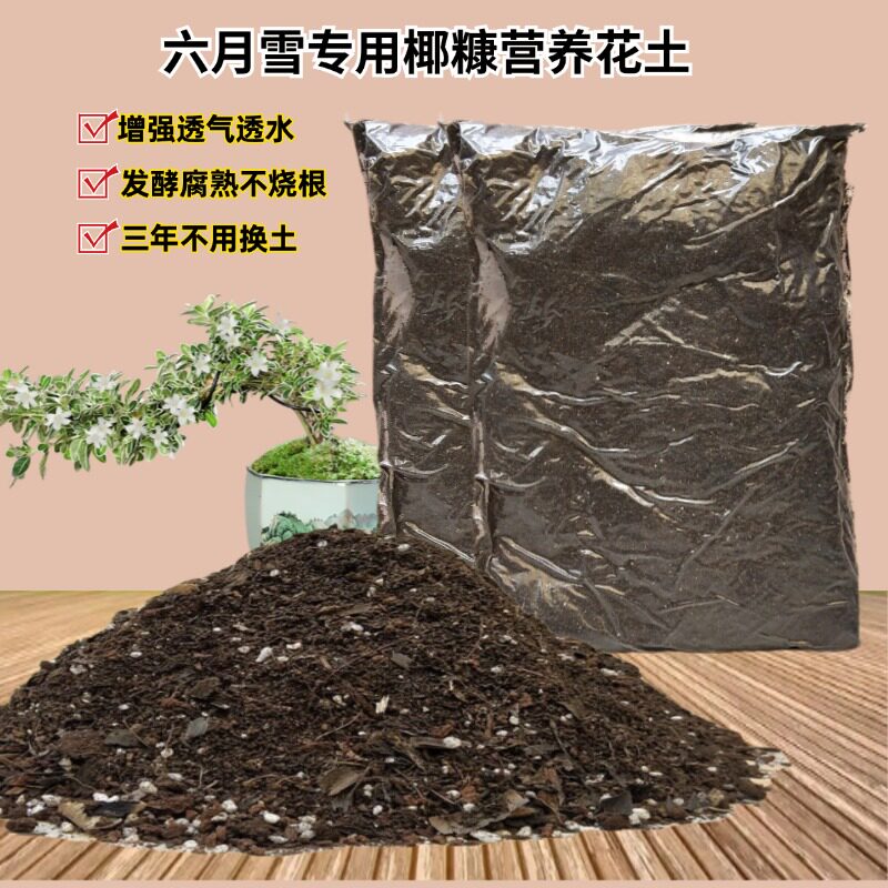 飘枝六月雪专用营养花土室内老桩提根盆景红花植物扦插种植椰砖土