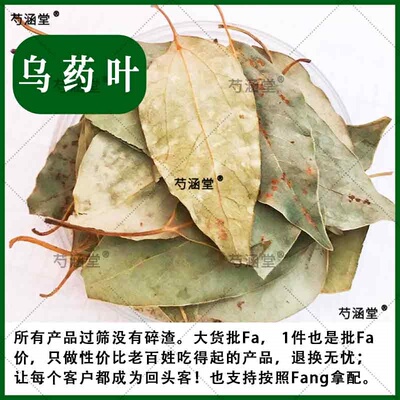 乌药叶500克 浙江野生中药材新货自然晒干无硫乌药叶粉平卧菊三七