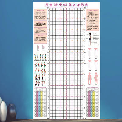 体姿体态评估表身高表挂图贴纸