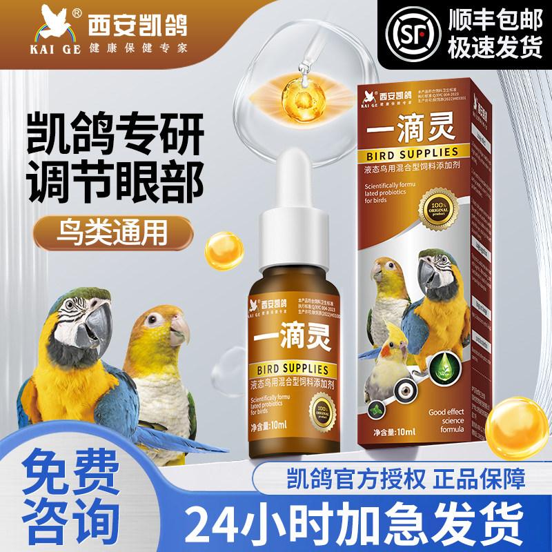 凯鸽鸽子鹦鹉鸟类牡丹玄凤单眼部护理滴眼一滴灵专用常见备用药品