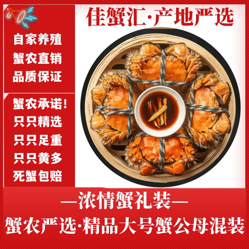 大闸蟹特大鲜活螃蟹洪泽湖捕捞江苏产地蟹农直销现货精品水产活蟹