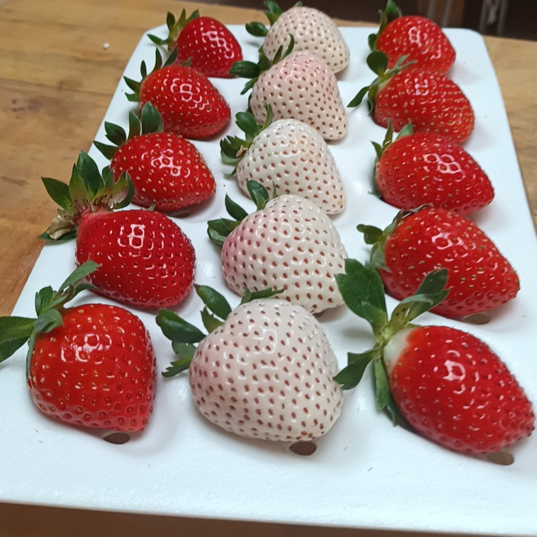 玉溪草莓多色草莓随机盲盒装孕妇孩子水果