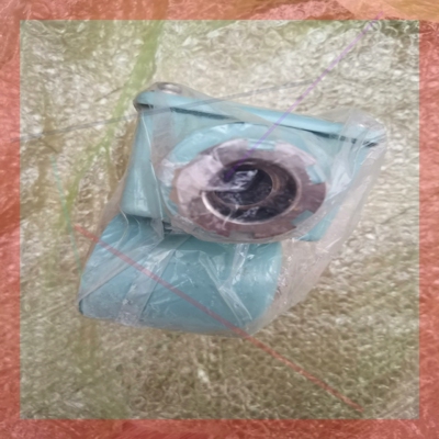 伊吹汽笛电磁阀线圈A200-B