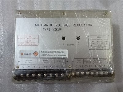 Automatic Voltage Regulator  Type: VZKUP-4A(P8)
