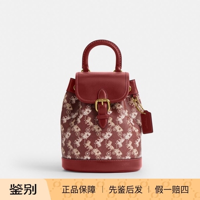 香港代购 coach蔻驰新款双肩包马车图案印花HARPER双肩包 CAM31
