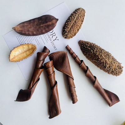 进口干花干果壳刺猬壳海参壳小南瓜热基蒂巴果天然植物南美缸造景