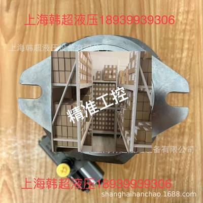 R910916805 AA10VSO28DFR1/31R-VPA12N00力士乐REXROTH柱塞泵正品