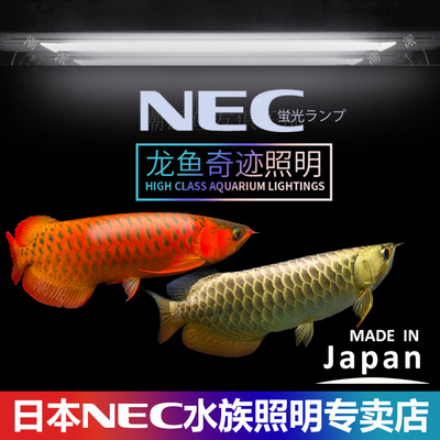 日本NEC基色水族灯管龙鱼奇迹
