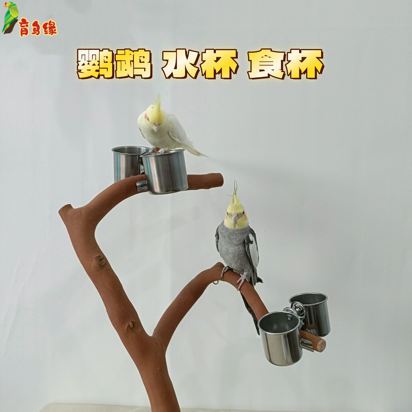 鹦鹉不锈钢食杯水杯宠物用夹杯喂食器食槽水槽中小型宠物杯子