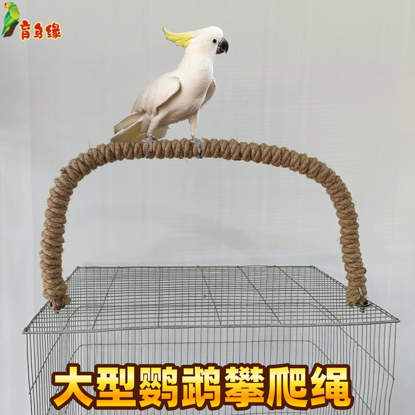 大型鹦鹉爬绳金刚折衷灰鹦鹉葵花亚历山大麻绳玩具