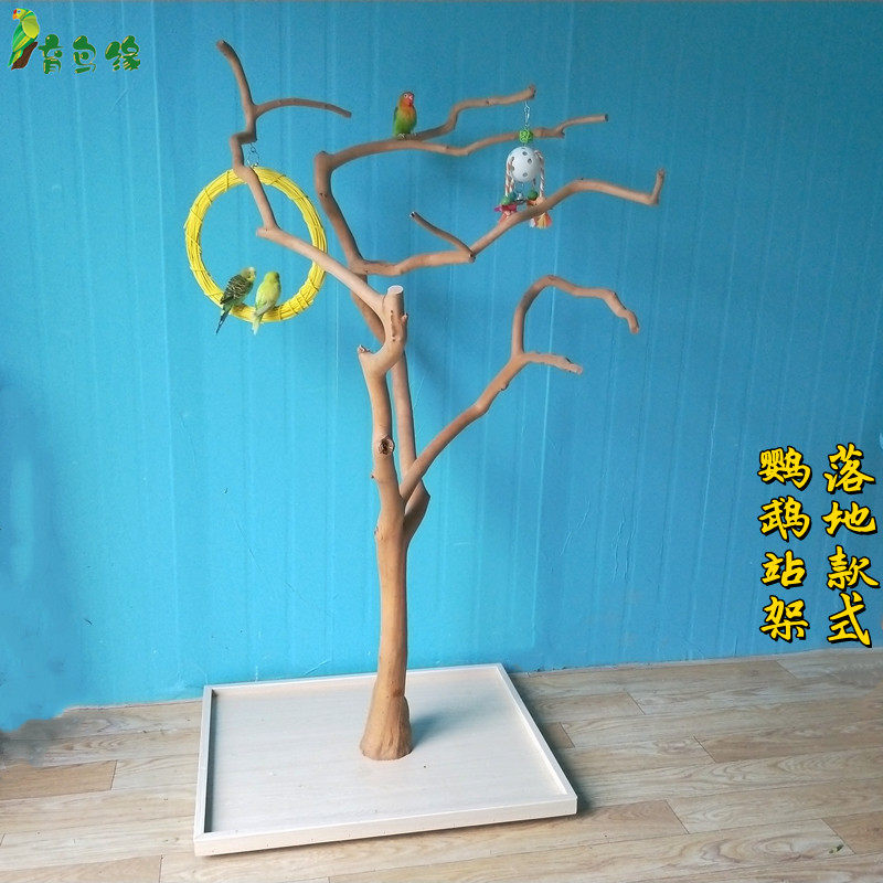 大型鹦鹉树枝鸟站架 自然造型优质落地训练架栖息地鹦鹉鸟架
