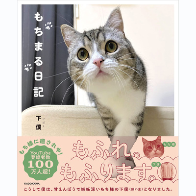 现货【外图日版】もちまる日記 猫咪成长日记 ＫＡＤＯＫＡＷＡ メディアファクトリー  进口日文
