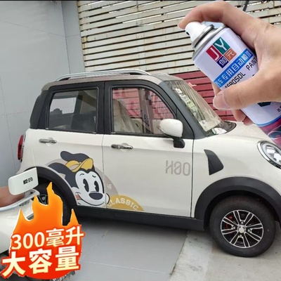 盛昊小精灵原厂自喷漆芳草白手喷金属漆专车专色轮眉灰防锈油漆