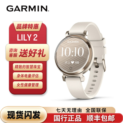 智能手表Lily2Garmin/佳明