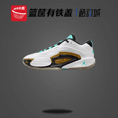 耐克JORDAN LUKA 3 PF男士缓震时尚耐磨实战篮球鞋FQ1285-100