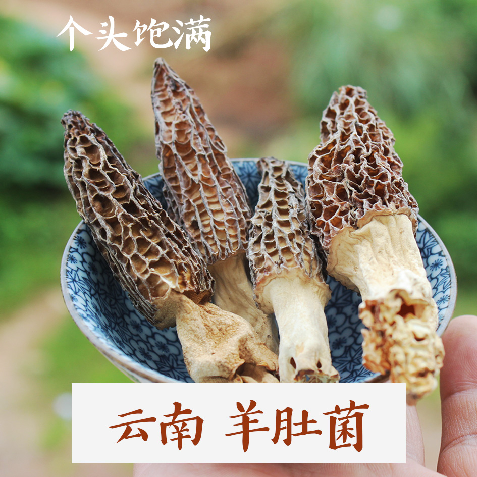 羊肚菌干货云南野生菌新鲜羊肚菇50g山珍菌类煲汤食材非500g包邮