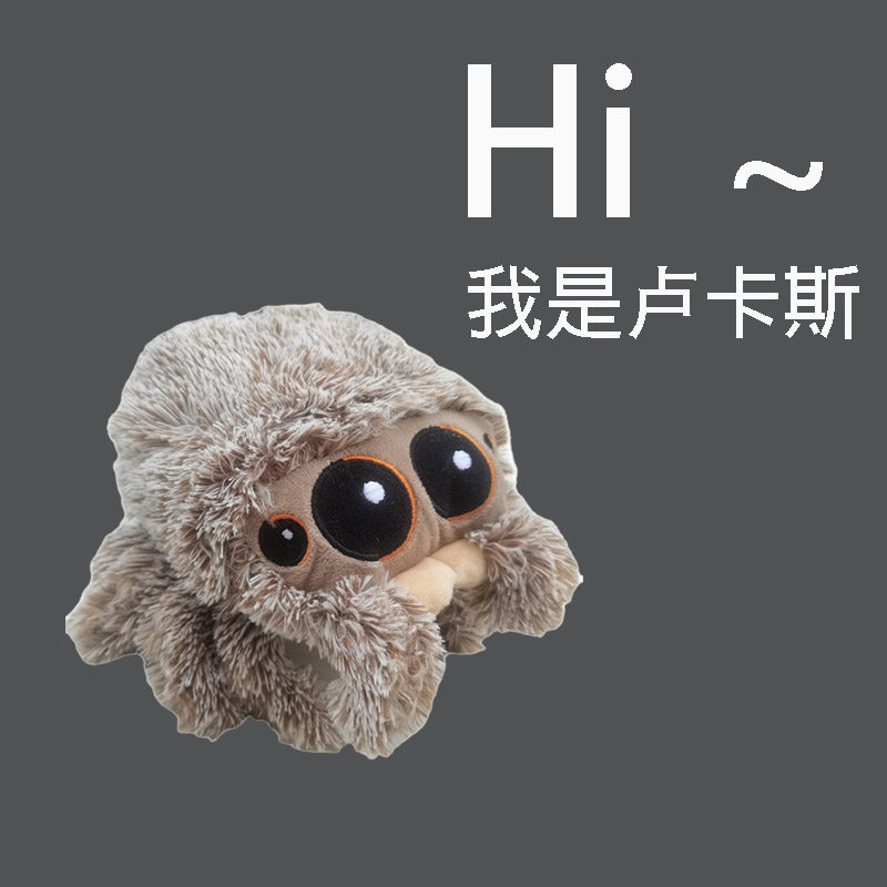 Youtube同款超萌卢卡斯小蜘蛛 Spider昆虫跳蛛Lucas毛绒玩偶公仔_虎窝淘