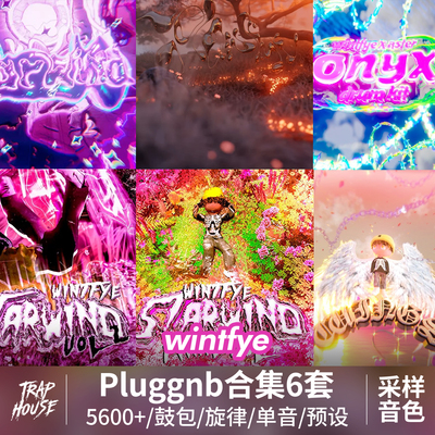 wintfye鼓包Pluggnb合集6套