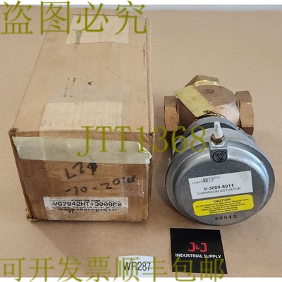 原装供应新  Johnson Controls VG7842NT+3008E0 3 · NPT 面条直