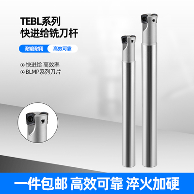 特固克TEBL06快进给铣刀杆BLMP06