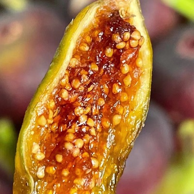 皖南小王果园无花果干