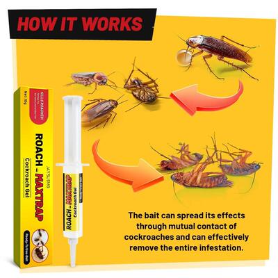 Jue-Fish 蟑螂诱饵 灭蟑杀蟑诱饵凝胶清洁厨房卧室家用蟑螂诱饵剂