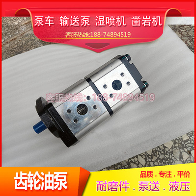 三一拖泵齿轮泵闸板泵38/33单进双出齿轮泵,CBHLR-G538/G533-AE3