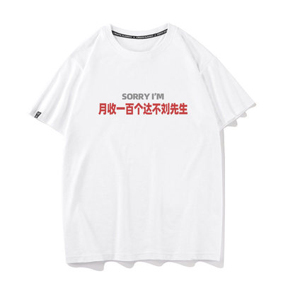 sorry月收一百个达不刘先生夏季短袖宽松纯棉T恤圆领男女通用衣服