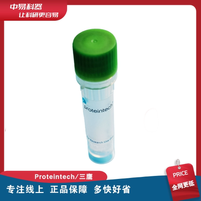 P62/SQSTM1 Recombinant monoclonal antibody