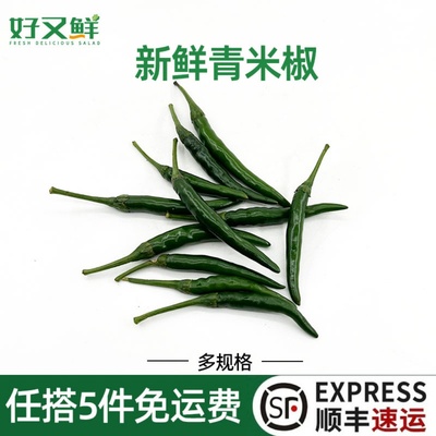 新鲜青米椒农家自种辣椒调味蔬菜