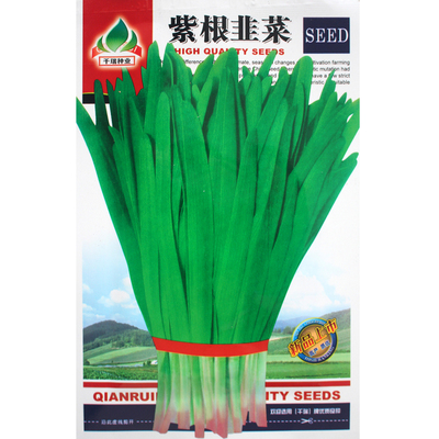 紫根四季阳台盆栽蔬菜种子