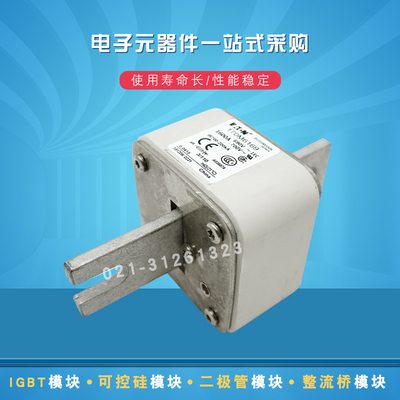 巴斯曼熔断器170M6169 6170 6171 6188 6189 6190 6191 6192 6193