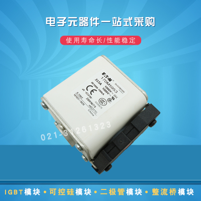 170M5953 5954 5955 5956 5957 5958 5959 5960 5961巴斯曼熔断器