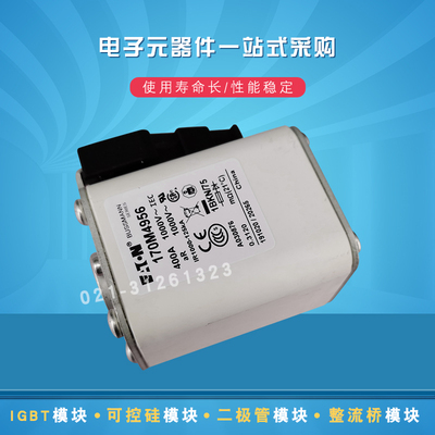 巴斯曼熔断器保险丝170M4984 4985 4986 4987 4988 4989 5008原装
