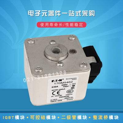 巴斯曼熔断器170M5461 5462 5463 5464 5465 5466 5467 5468 5469