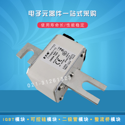 伊顿巴斯曼熔断器170M6942 6943 6944 6945 6946 6947 6948 6949