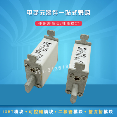 全新熔断器保险丝170M1516 1517 1518 1519 1520 1521 1522 1532