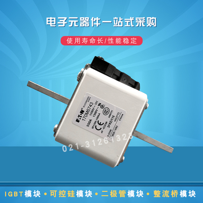 伊顿巴斯曼熔断器170M6744 6745 6746 6747 6748 6749 6750 6751
