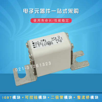 快速熔断器保险丝170M2672 2673 2674 2675 2676 2677 2678 2679