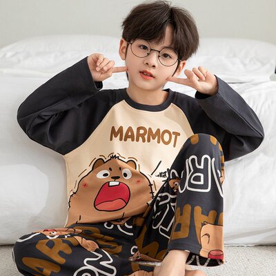 2026新款儿童睡衣男童春秋款纯棉小孩大童家居服卡皮巴拉capybara