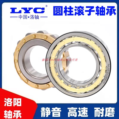 洛阳天马减速机偏心轴承RN205 206 204 307 309 207 312 219 222M