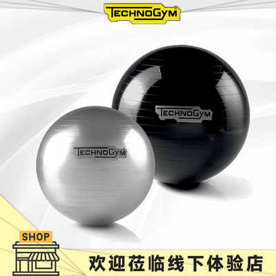 泰诺健 健身球 瑜伽球 65/55cm TechnoGym泰诺健北京体验店