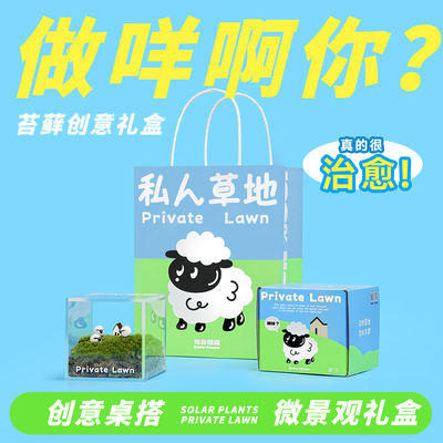 私人草坪私人草地苔藓微景观礼盒