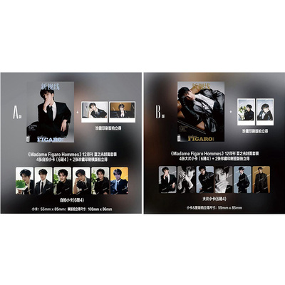 计入销量 费加罗男士 12月刊 夏之光封面A/B版套装《Madame Figaro Hommes》新视线 杂志2025年12/十二月刊夏之光封面