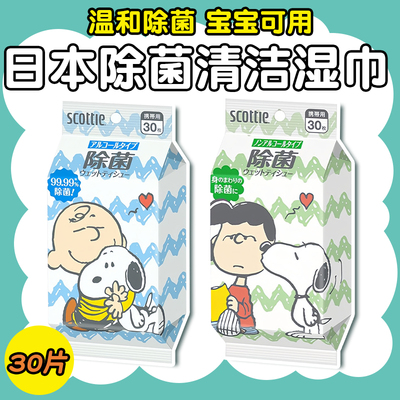 日本进口除菌非酒精湿巾母婴可用